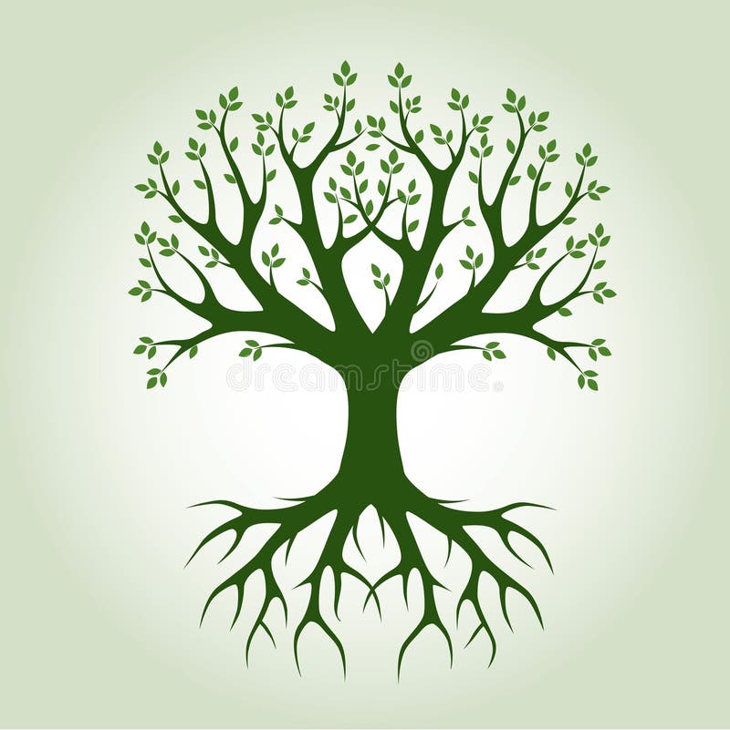 Green Tree Roots Stock Illustrations – 9,392 Green Tree Roots Stock ...