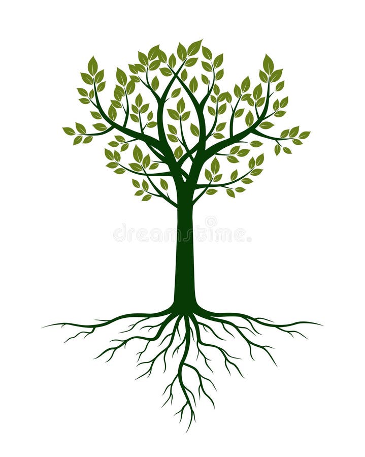 Green Tree and Roots. Vector Illustration Stock Vector - Illustration ...