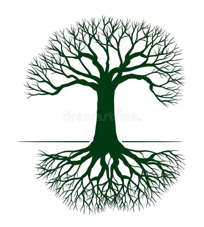 Tree Roots Outline Stock Illustrations – 1,786 Tree Roots Outline Stock ...