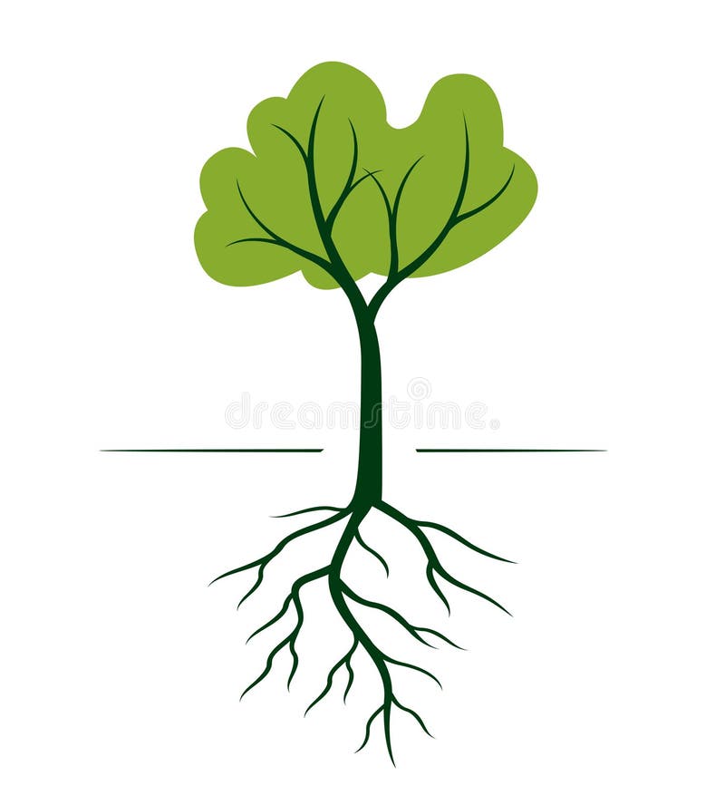 Tree Roots Outline Stock Illustrations – 1,786 Tree Roots Outline Stock ...