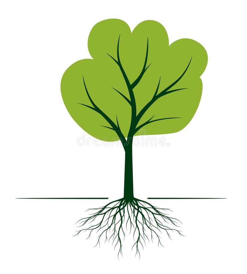 Green Tree with Roots. Vector Outline Illustration Stock Vector ...