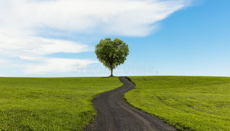Green Tree Shape Heart Green Meadow Pathway Stock Photos - Free ...