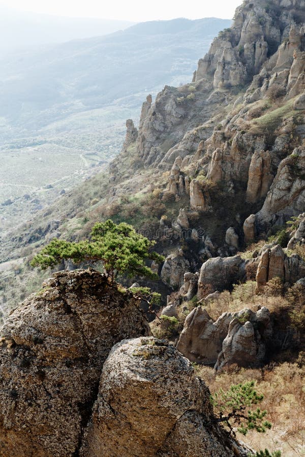 Green Tree on the Sharp Edge of the Rock in the Valley of Ghosts in the ...