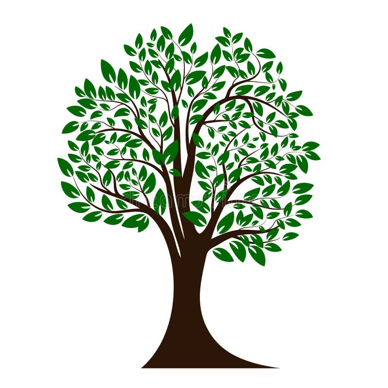 Oak a Green Life Tree with Roots and Leaves. Vector Illustration Icon ...