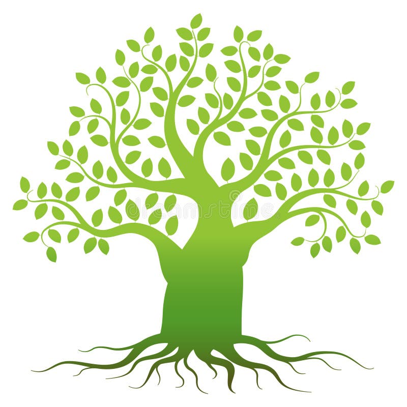 Green Tree Silhouette Silhouette Of Forest Cut Out Stock Images