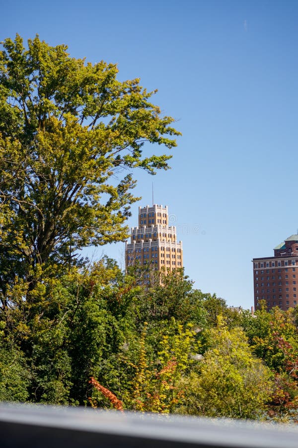 Green Tree with a Skyscraper Building Background Stock Photo - Image of ...