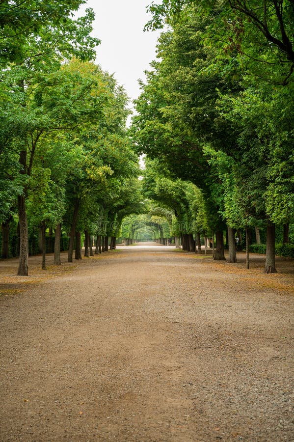 Green Tree Surrounded Walk Way in a Park Stock Photo - Image of ...