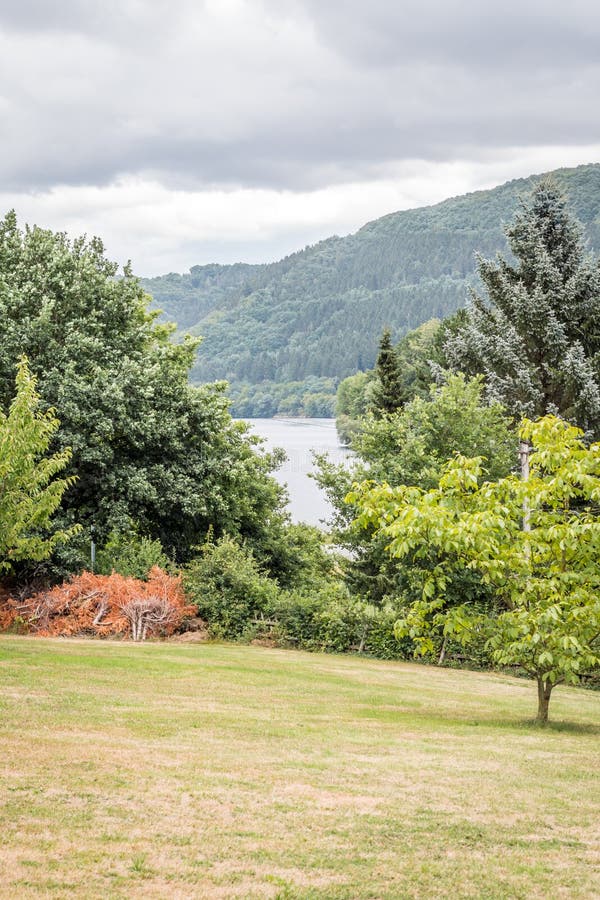 Green Tree Tops, Looking Up Stock Image - Image of grassland, bank ...