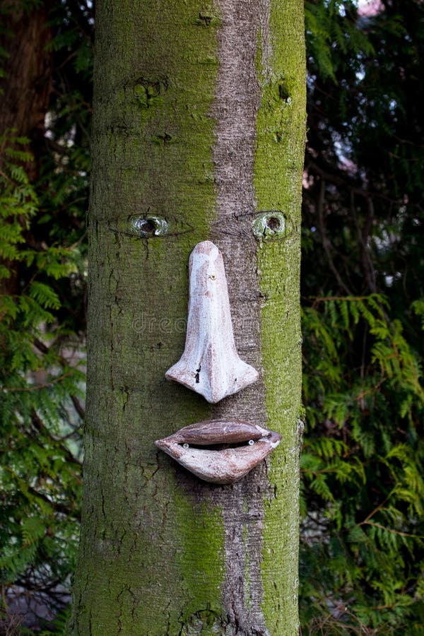 Tree Trunk with a Face on it Stock Image - Image of beauty, small ...