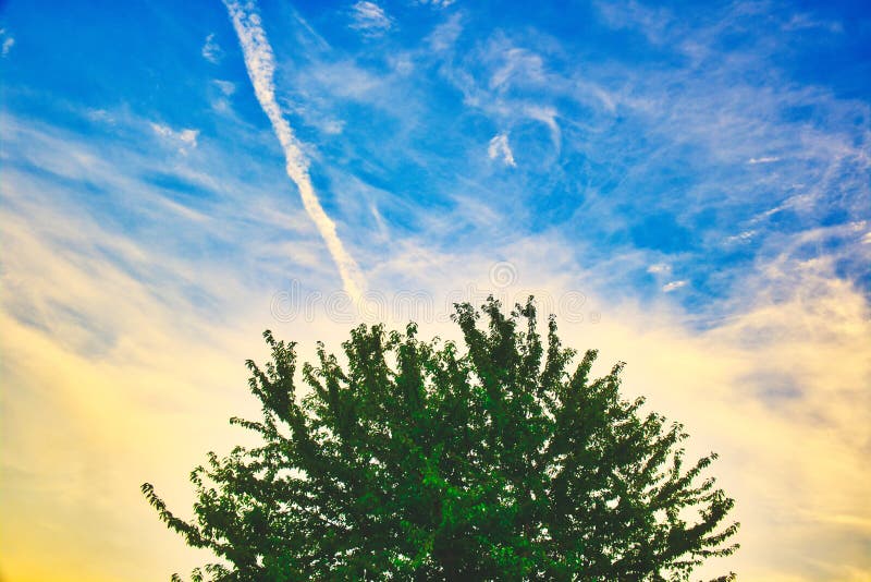 Green Tree Under a Beautiful Cloudscape - Perfect for Wallpaper Stock ...