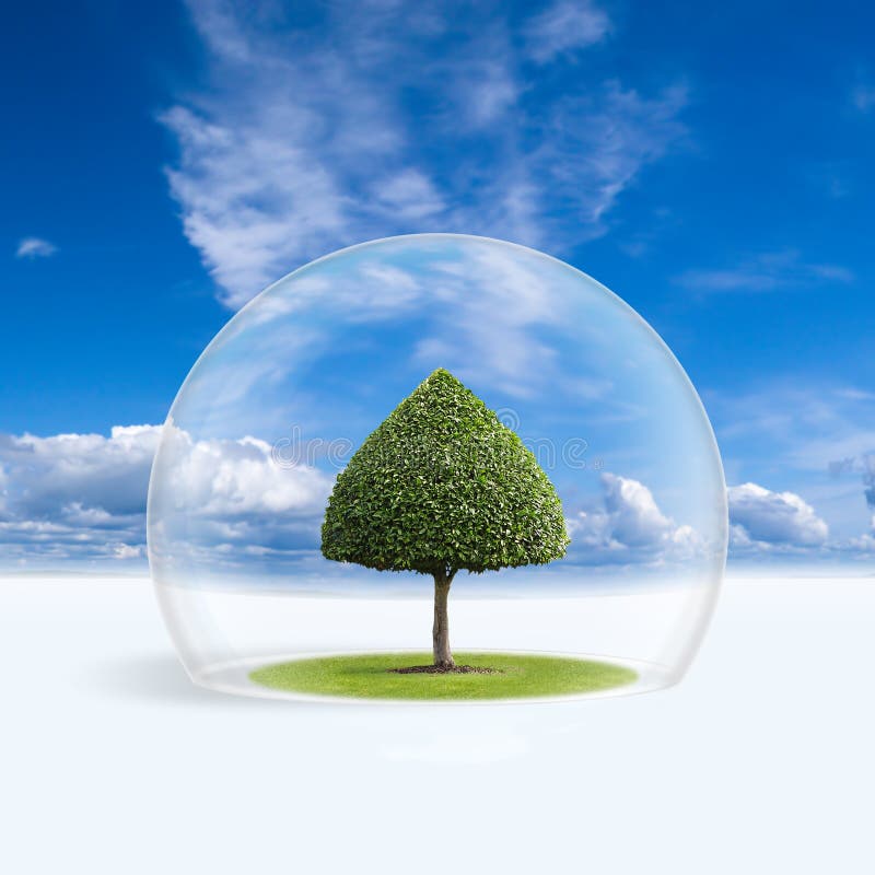 Green Tree is Under the Protection Stock Image - Image of clean, green ...