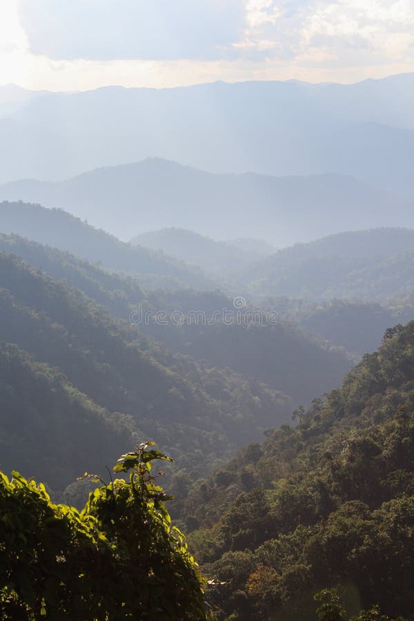 Green tree valley stock photo. Image of hill, grass, colorful - 39029784
