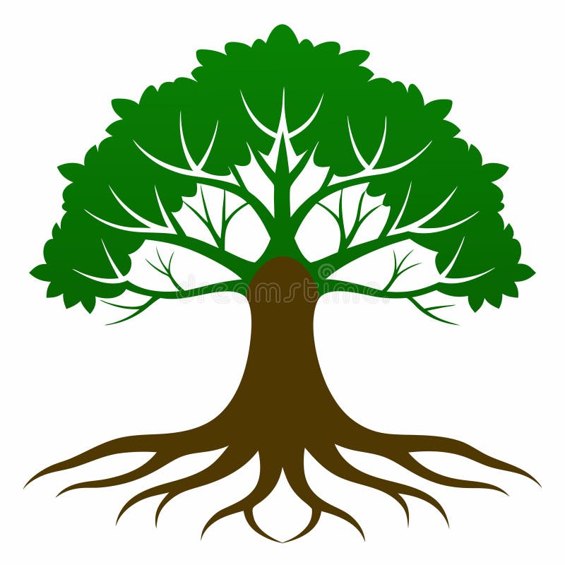 Green Tree of Life, Isolated Vector Stock Vector - Illustration of ...