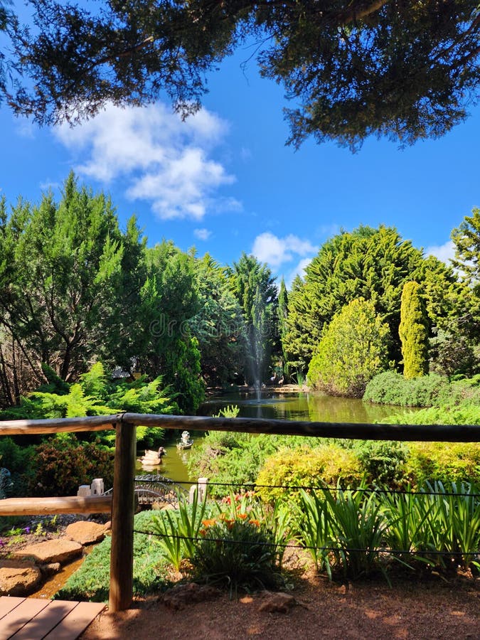 Green tree stock photo. Image of jungle, branch, flower - 265150060