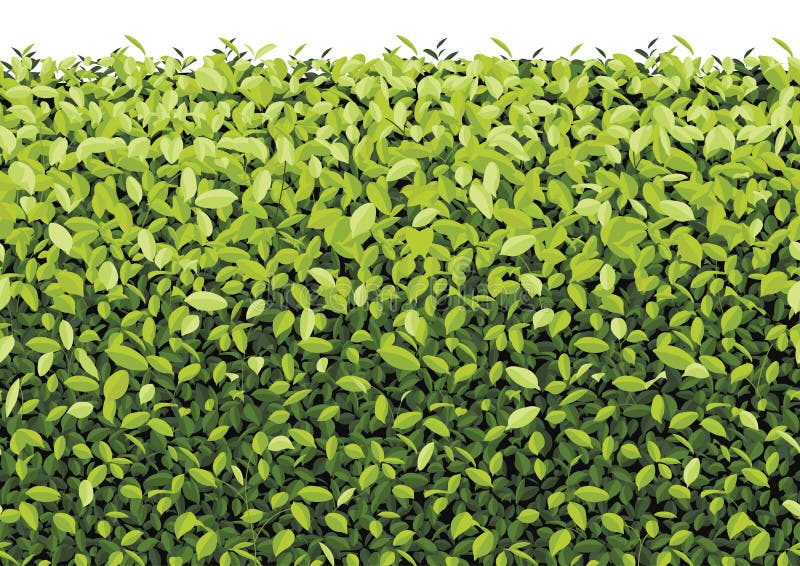 Green Tree Wall on Isolated Vector Stock Vector - Illustration of ...
