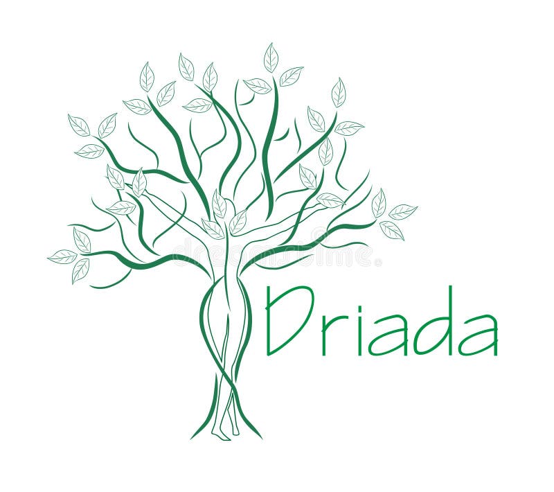 Dryad Stock Illustrations – 320 Dryad Stock Illustrations, Vectors ...