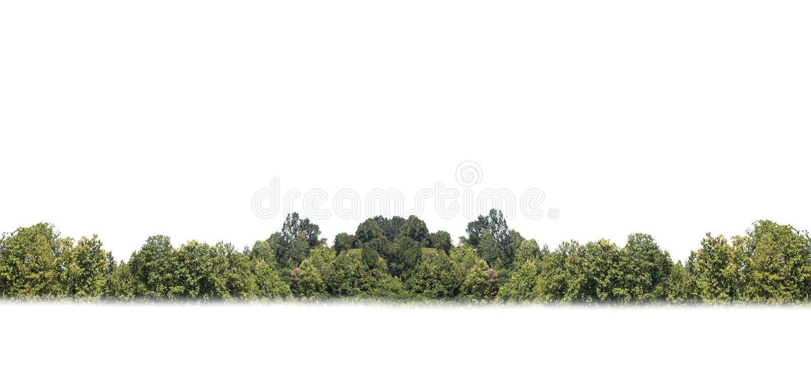 Trees Island, Large Bushes Isolated on White Background Stock Image ...