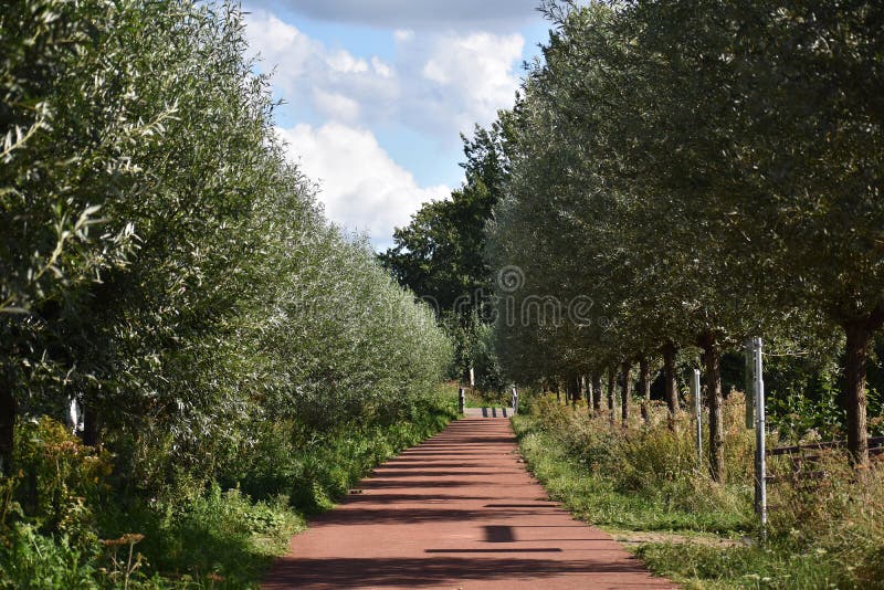 4,260 Roadside Footpath Stock Photos - Free & Royalty-Free Stock Photos ...