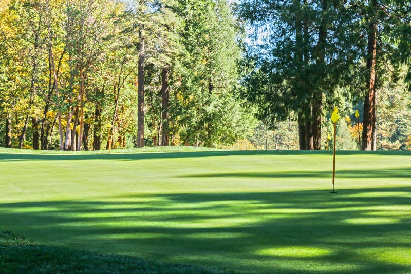 Green Trees Around a Golf Course Stock Image - Image of closeup, fall ...