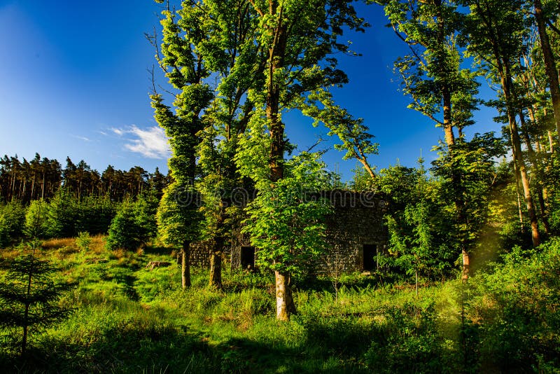 Green Trees Around an Old Building. Stock Photo - Image of landscape ...