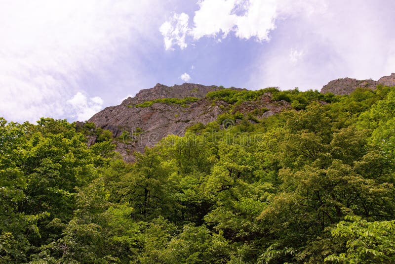 Green Trees on Beautiful Rocks High in the Mountains Stock Image ...