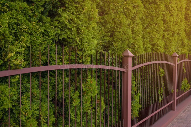 Green Trees Behind Beautiful Iron Fence Outdoors Stock Photo - Image of ...