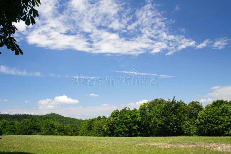Green trees and blue sky stock photo. Image of meadow - 2664846