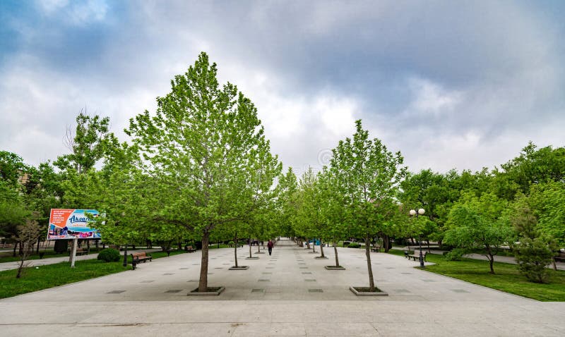 Green trees in city park editorial stock photo. Image of green - 71112343