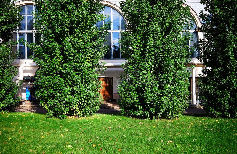 Green Trees Covering Building Windows Stock Photo - Image of wallpaper ...