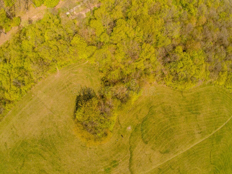Green Trees and Forests from the Air from Above Stock Image - Image of ...