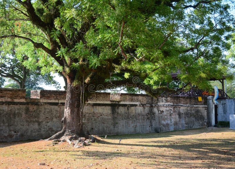 Green Trees at the Fort in Penang, Malaysia Editorial Stock Image ...