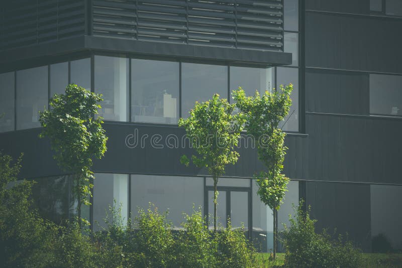 Green Trees in Front of an Office Stock Photo - Image of avenue, house ...