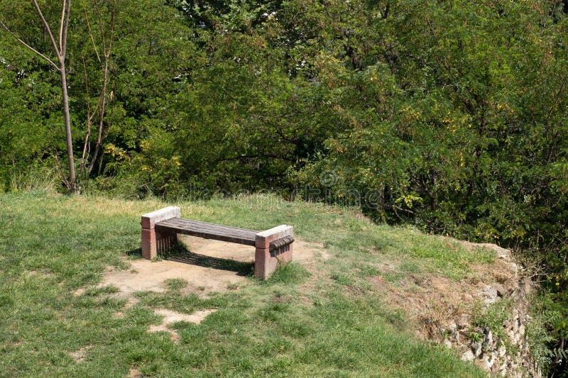 Green Trees, Grass and Bench, Beautiful Nature View in Forest Stock ...