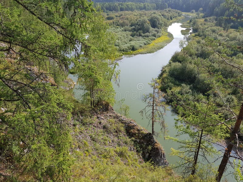 Green Trees Grow by the River Stock Image - Image of beautiful, field ...