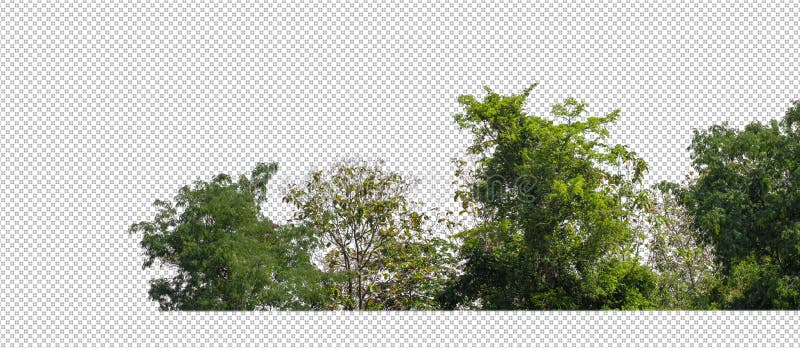 2,640 Alpha Transparent Trees Stock Photos - Free & Royalty-Free Stock ...