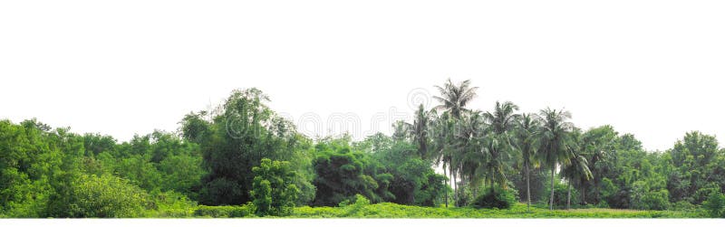 6,344 Alpha Foliage Stock Photos - Free & Royalty-Free Stock Photos ...