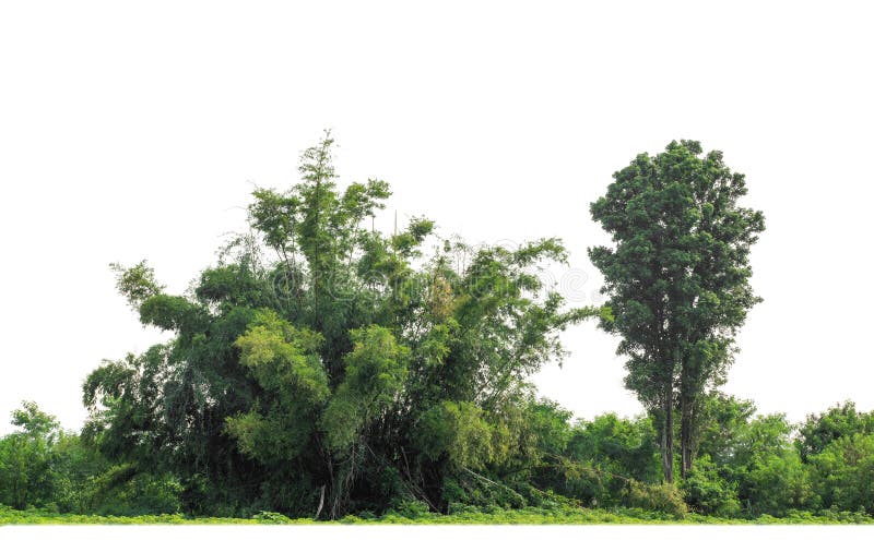 6,344 Alpha Foliage Stock Photos - Free & Royalty-Free Stock Photos ...