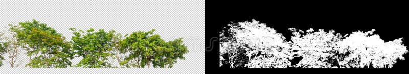 Green Trees Isolated on Transparent Background Forest and Summer ...