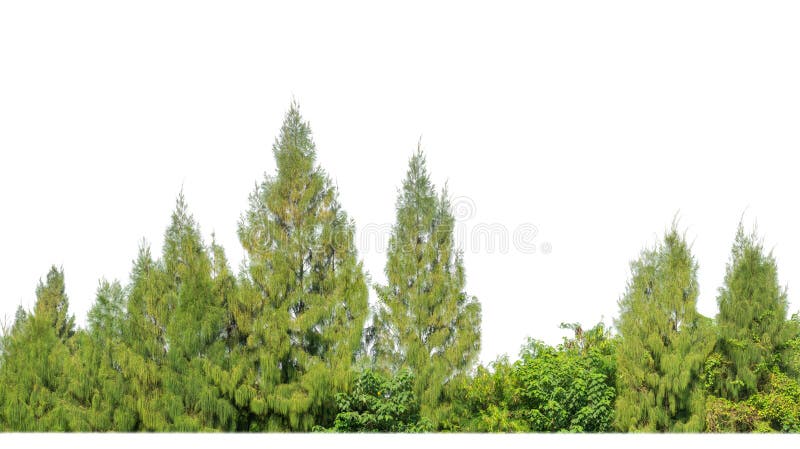 6,712 Alpha Foliage Stock Photos - Free & Royalty-Free Stock Photos ...