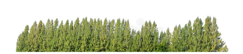 6,712 Alpha Foliage Stock Photos - Free & Royalty-Free Stock Photos ...