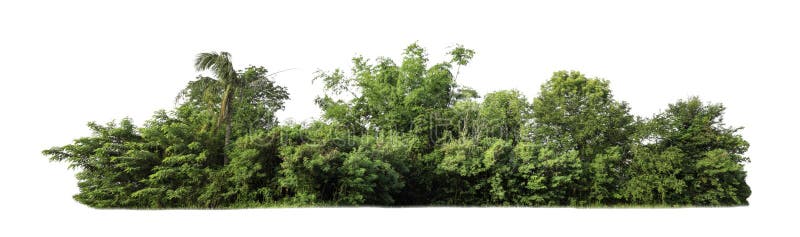 Bushes Png Stock Photos - Free & Royalty-Free Stock Photos from Dreamstime