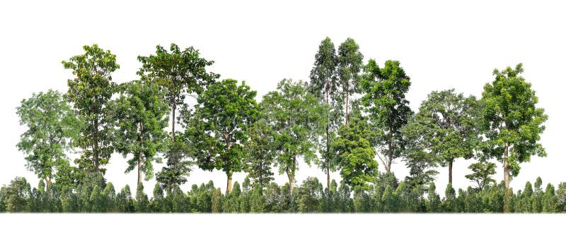 6,344 Alpha Foliage Stock Photos - Free & Royalty-Free Stock Photos ...