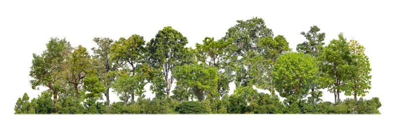 6,344 Alpha Foliage Stock Photos - Free & Royalty-Free Stock Photos ...