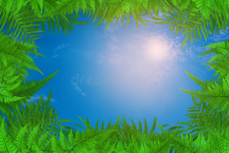 Green Trees and Leaf Greenery Sky Cloud Background Stock Image - Image ...