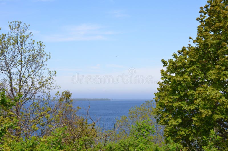 Green Trees and Leaves and Water and Sky Stock Photo - Image of botany ...