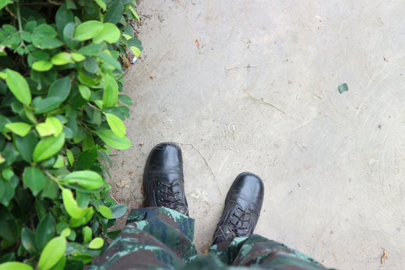 Green Trees, Military Boots, and Walkways Stock Image - Image of green ...
