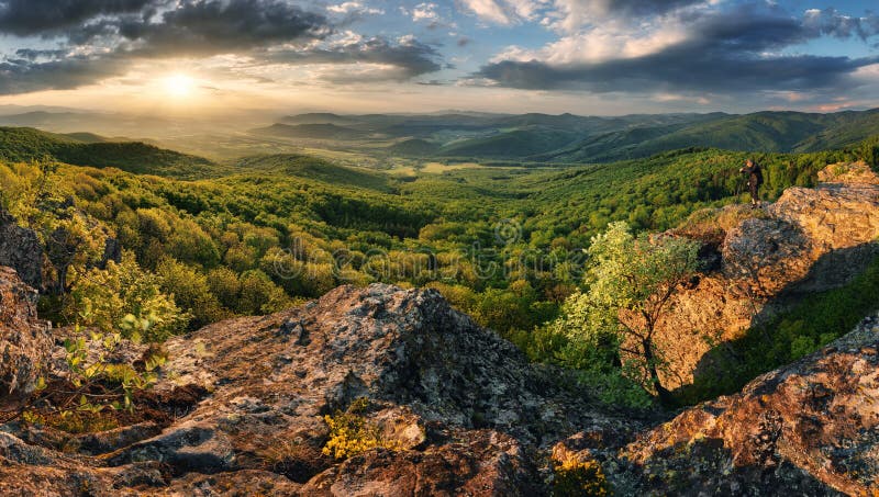 Green Trees on Mountain Under Dramatic Spring Sunset Stock Image ...