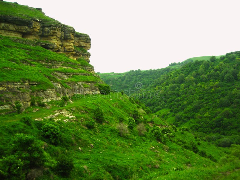 Green Trees on the Mountain in the Valley Stock Photo - Image of cielo ...