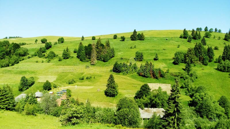 Green Trees Mountains Nature Landscape Stock Photo - Image of cloud ...