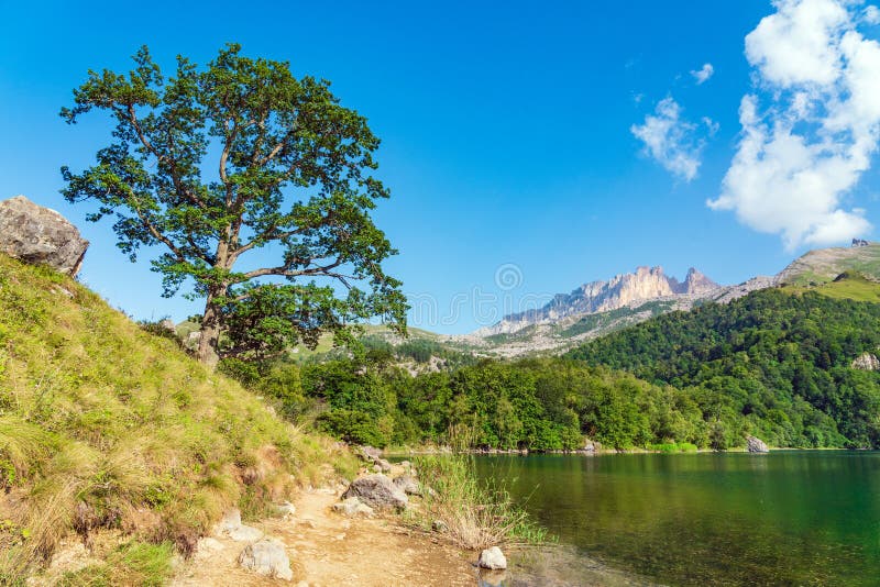 Green Trees on the Mountainside Near Alpine Lake Maralgol Stock Photo ...